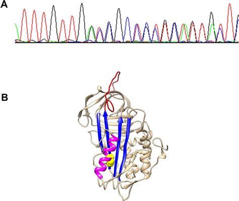 Identification Of The Mutation In Serpinc1 Responsible For Antithrombin