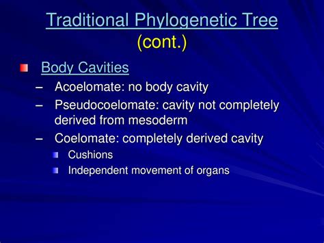 Introduction To Animal Evolution Ppt Download