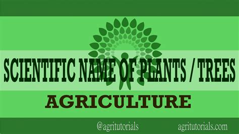 Scientific Name Of Plants Trees AGRI TUTORIALS
