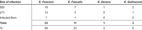 Species Distribution Of Vre Isolates According To The Type Of Infection
