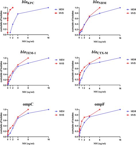 Meropenem Vaborbactam Vs Other Antibiotics For E Coli Idr