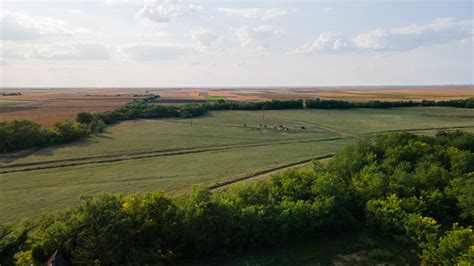 노란색과 녹색 색상의 다른 작물의 농업 소포의 추상적 인 기하학적 모양 0명에 대한 스톡 사진 및 기타 이미지 0명 경관 계곡 Istock