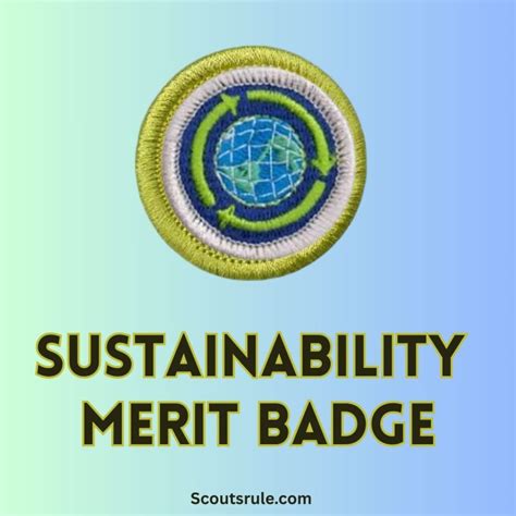 Traffic Safety Merit Badge Guide Scouts Rule