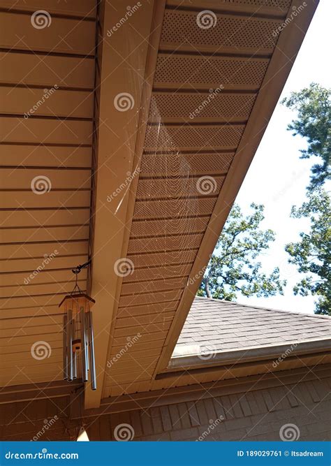 Spider With Sky And Roof In The Background Royalty Free Stock Image 104655832