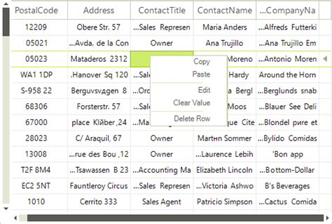 Rigth To Left Support RadVirtualGrid Telerik UI For WinForms