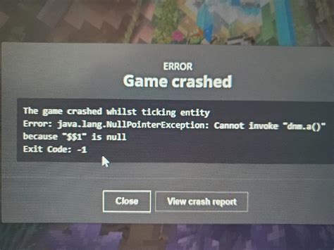 Minecraft Java Bug W B Snapshot Any Know What This Means Everything I Load My World I