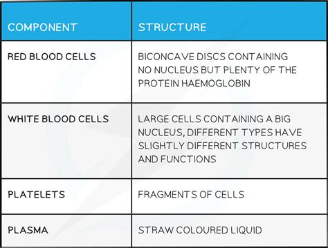 Edexcel IGCSE Biology Double Science 复习笔记 2 8 3 Human Transport