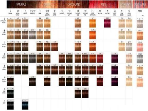Igora Royal Color Chart Brown – Warehouse of Ideas