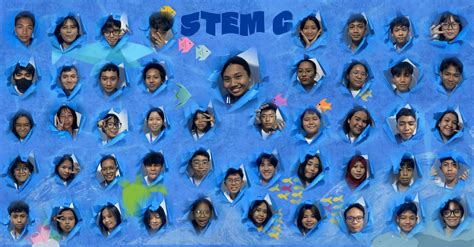11 11 Stem C🌊 🎨 Rhedent Junmar I Esquierdo Facebook