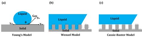 Wetting Models A Youngs Model B Wenzel Model C Cassie Baxter Download Scientific