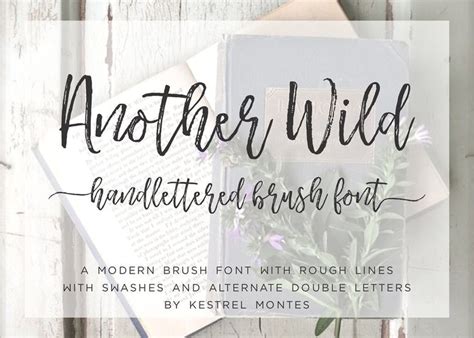 another wild modern brush script