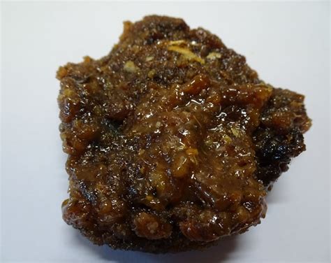 Galbanum resin Ferula galbaniflua | Etsy