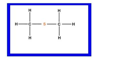 Organic Chemistry Functional Groups Pka Flashcards Quizlet