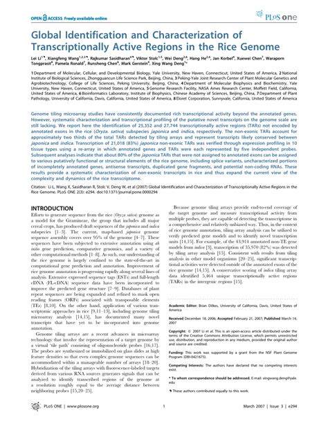 Pdf Global Identification And Characterization Of Transcriptionally