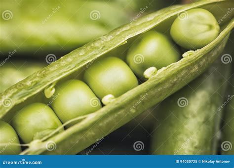 Verduras De Los Guisantes Verdes Una Vaina Se Abre Con El Primer