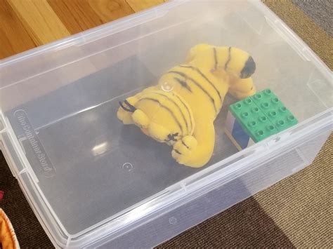 Six Year Old Doing Quantum Physics Experiments Rphysicsmemes Six Year Old Doing Quantum Physics Experiments Rphysicsmemes