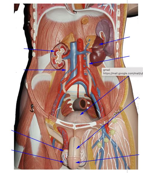 Part 3 Diagram Quizlet