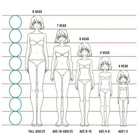 Pin By Helena On Pins By You Body Proportion Drawing Body Drawing
