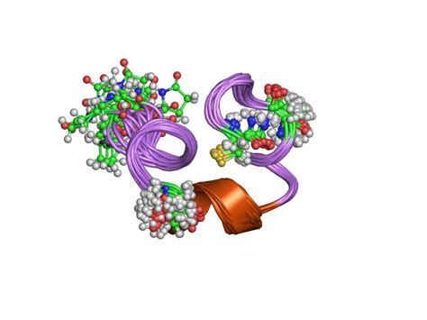 Conotoxins Alpha Conotoxins Mu Conotoxins