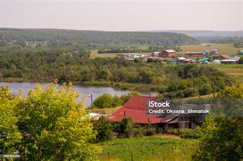 멀리 외로운 녹색 나무와 푸른 고요한 하늘 위의 푸른 초원 노란색 마른 잔디입니다 필드에 전신주 멀리 떨어진 작은 마을 여행