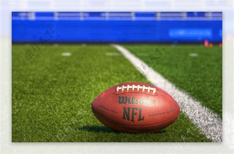 橄榄球nfl图片素材 编号11486963 图行天下