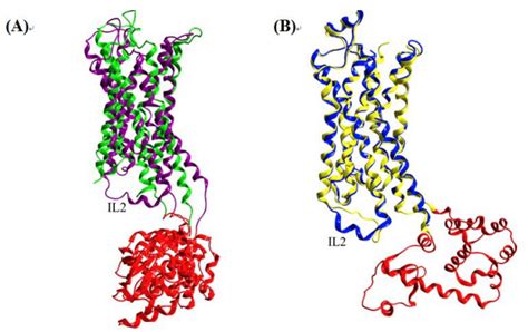 G Protein Coupled Receptors The Evolution Of Structural Insight
