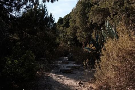 Praia Dos Coelhos Arrábida Guia De Acesso E Dicas úteis Tapa Ao Sal