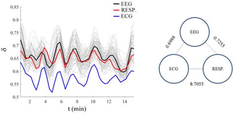 Entropy Special Issue Fractional Calculus And Fractional Dynamics