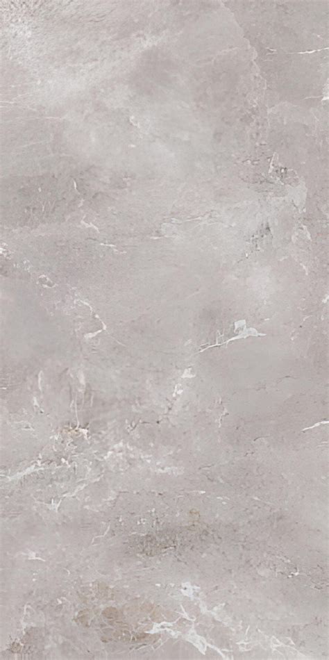 Picasso Grey 120240 Slab Wehomein