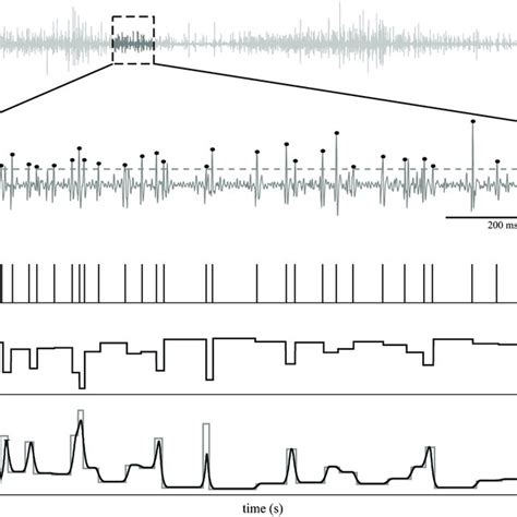 Action Potential Identification From Multi Motor Unit Recordings A