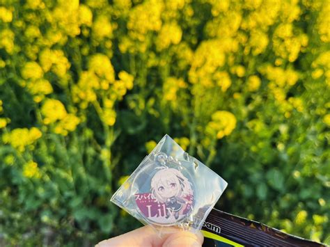 にゃるら On Twitter スパイ教室グミ……極上だ