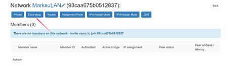 Zerotier Docker Zerotier Planet 自建planet Zerotier服务器 Docker Zerotier Planet Gitea Git With