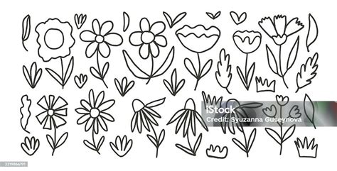 꽃의 윤곽선이 그려진 목탄 그려진 세트입니다 순진한 꽃 낙서는 흰색 배경에 고립되어 있습니다 데이지 잔디 나뭇잎 검은 스케치 손으로 그린 요소 벡터 유치한 스타일 낙서