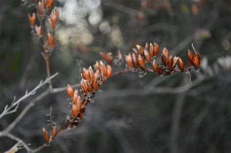 M S De Fotos De Chicas Calientes Y Chicas Jovenes Gratis Pixabay