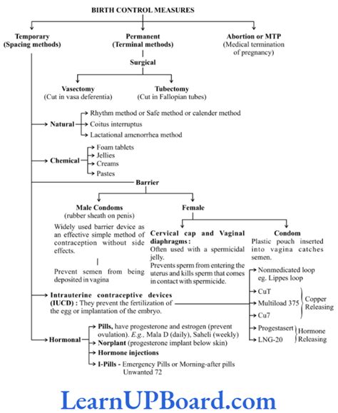 NEET Biology Reproductive Health Notes Learn UP Board