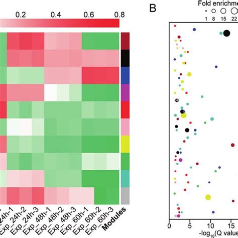 Global Transcriptomic Profiles And Pathway Enrichment Analysis During Download Scientific