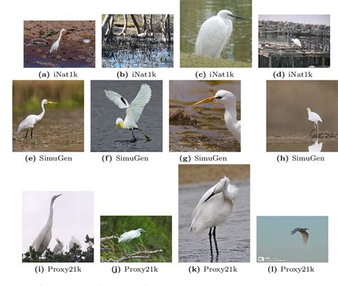 Figure 14 From Recommendation Of Data Free Class Incremental Learning
