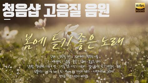 고음질 가요 음원 🏵 봄에 듣기 좋은 가요모음 🏵청음샵고음질음원감성뿜뿜기분 좋은 음악 Youtube