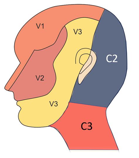 Atypical Trigeminal Neuralgia Regenexx