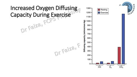 Diffusion Of Gases Through Respiratory Membrane Ppt