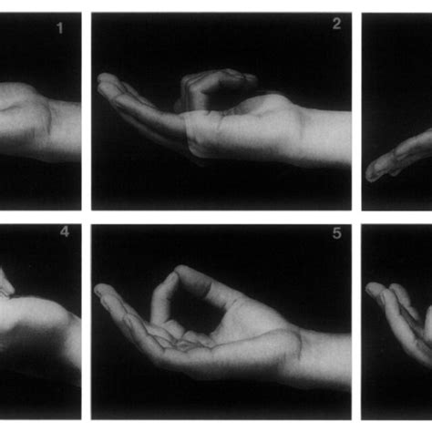 Hand Movement Scale 1 To 6 Download Scientific Diagram