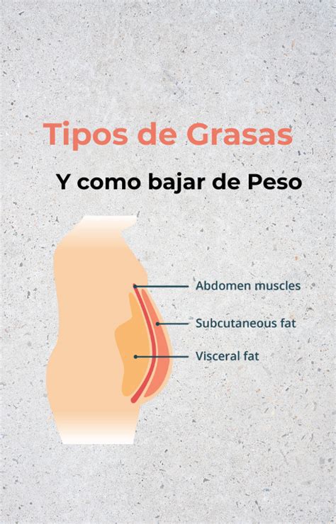 Guia Sobre Los Tipos De Grasas Y Como Bajar De Peso Airoska Alman