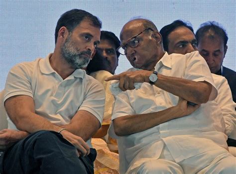 ls polls rahul gandhi sharad pawar discuss seat sharing in maha