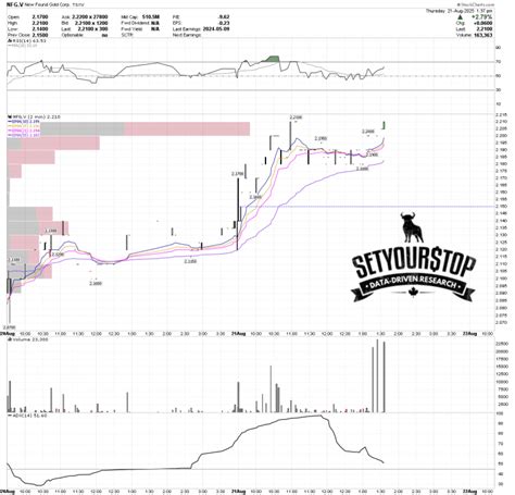 Strategy Setyourstop Stock Market Research