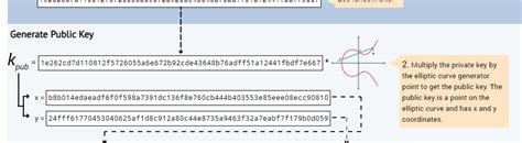go ethereum alphabets in x y coordinates of elliptic graph