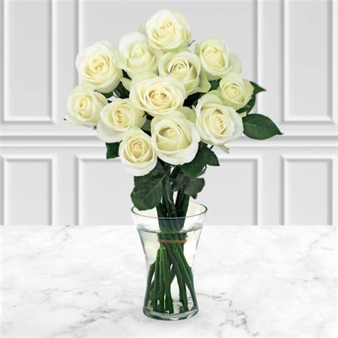 What Are White Roses Stand For At Andrew Godina Blog