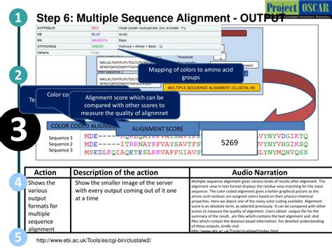 Ppt Bioinformatics And Protein Sequence Analysis Powerpoint