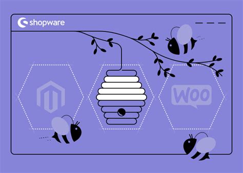 Step By Step Guide On Shopware Migration Dinarys
