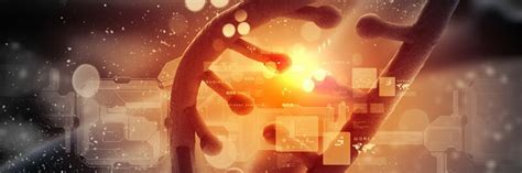 Creative Biogene Is Offering A Series Of Gene Knockout Cell Lines