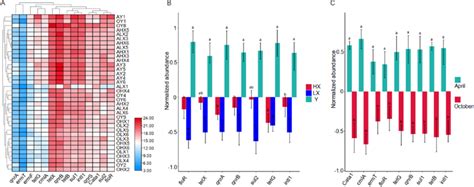 Spatiotemporal Distribution And Differences Of Absolute Abundances Of